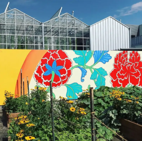 Rooftop Urban Farms - The Earth Gang