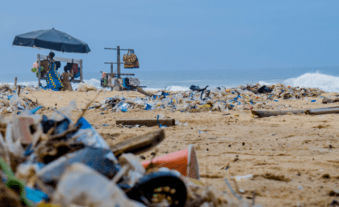 Ocean Integrity: Healing Plastic Pollution - The Earth Gang