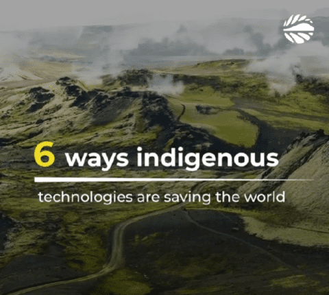 Indigenous Technologies Saving the World - The Earth Gang